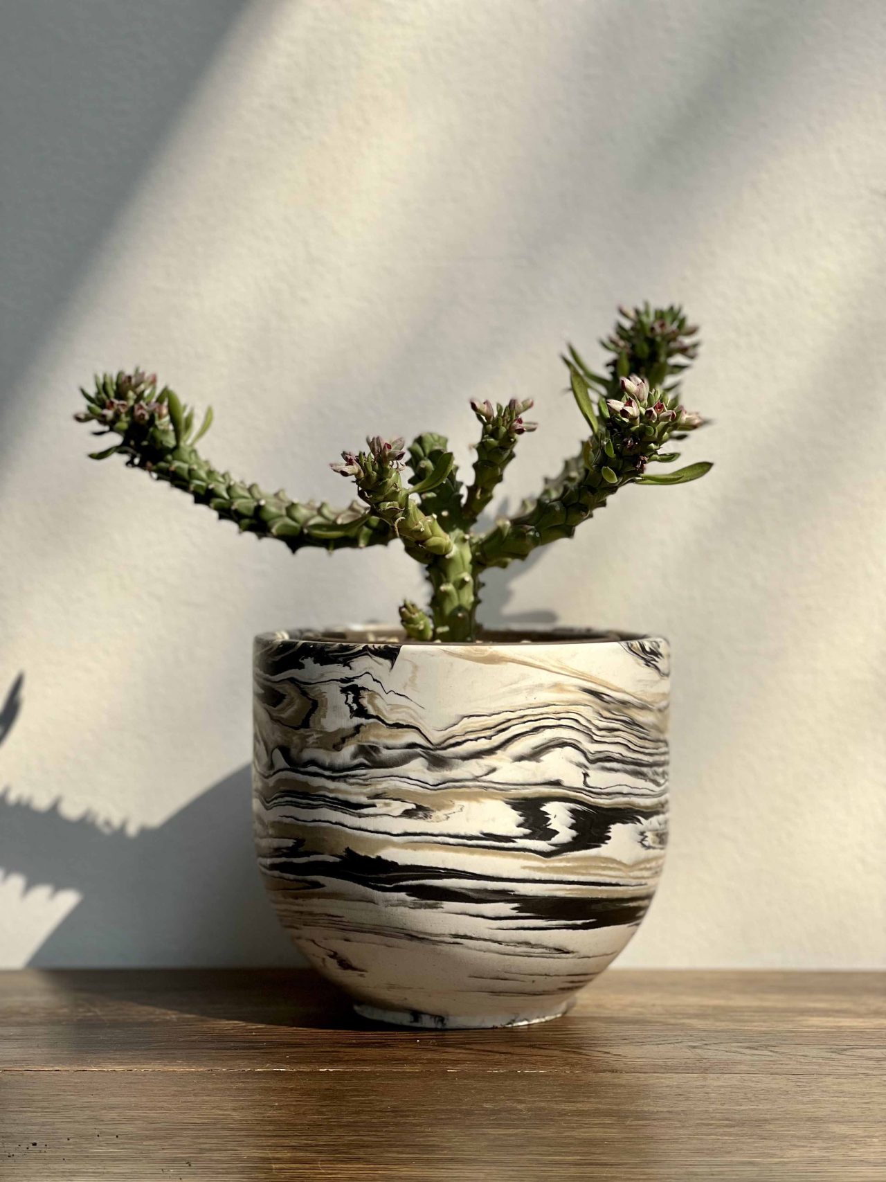 Round Bottom Planter - Black and Beige – Shopfox